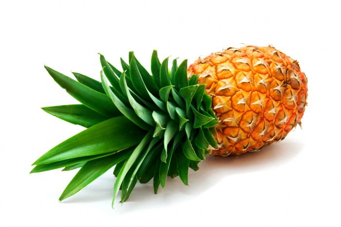 Ananas bio - Ananas comosus - Fruit exotique